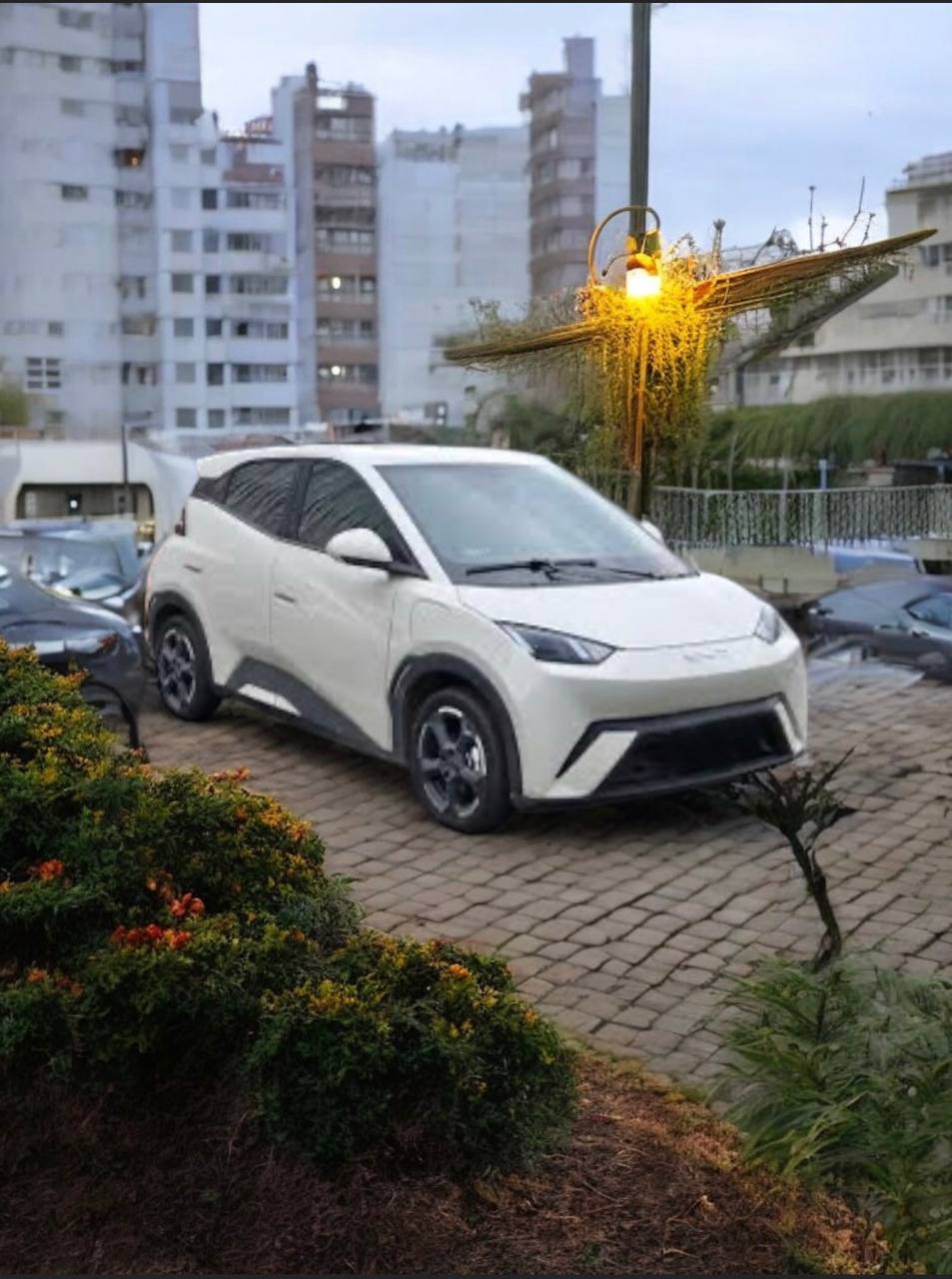 2024 BYD Seagull (EQ) - Electric City Car for Sale in Addis Ababa